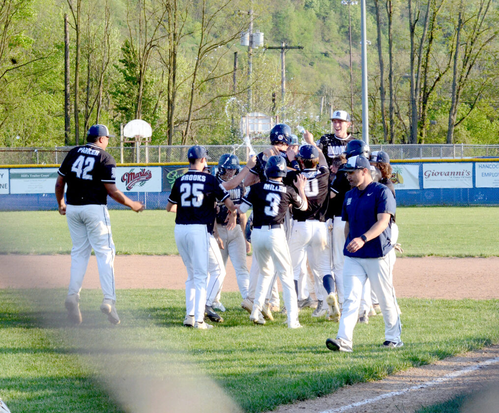 Blue Dons walk-it-off in sectional opener | News, Sports, Jobs ...